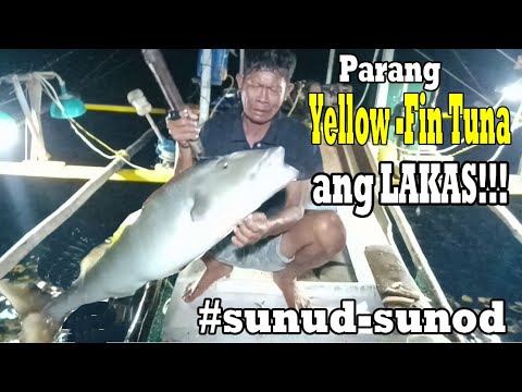 PARANG YELLOW FIN TUNA SA LAKAS ANG ISDANG ITO| SUNUD-SUNOD NA PADAWI ...