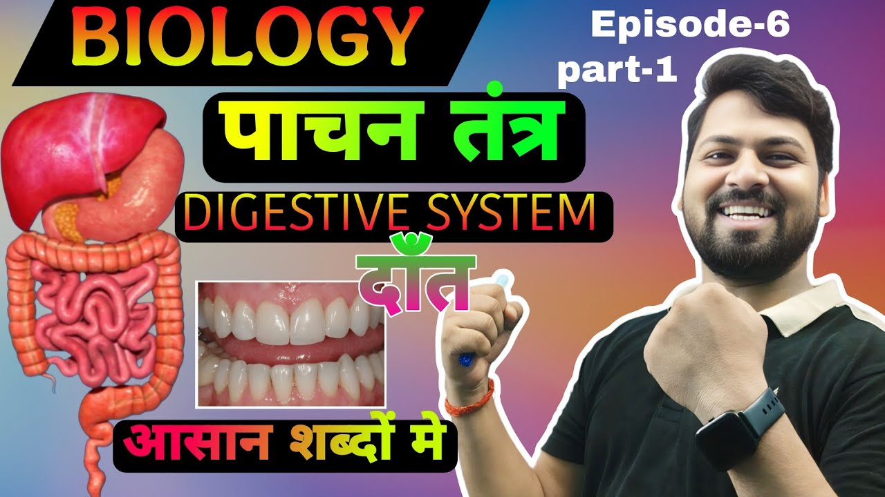 Different types of teeth || Digestive system of human body || complete ...