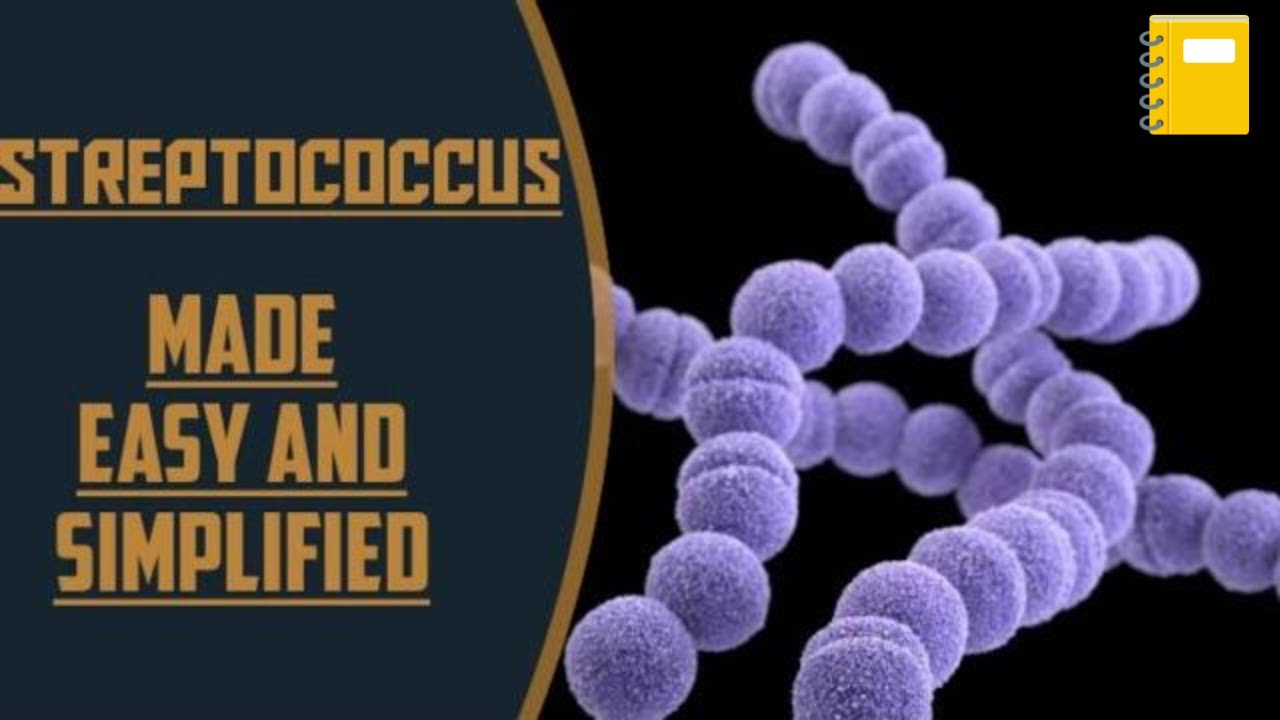 Streptococcus Microbiology - Signs Of Strep Throat - YouTube