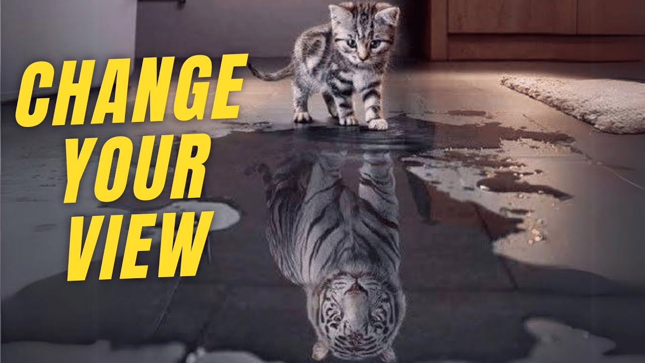 The Perception Deception | Why You Feel Discouraged in Your Walk with YAH - YouTube