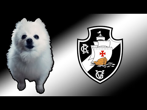 Hino do Vasco da Gama em cachorrês | FUTEBOL