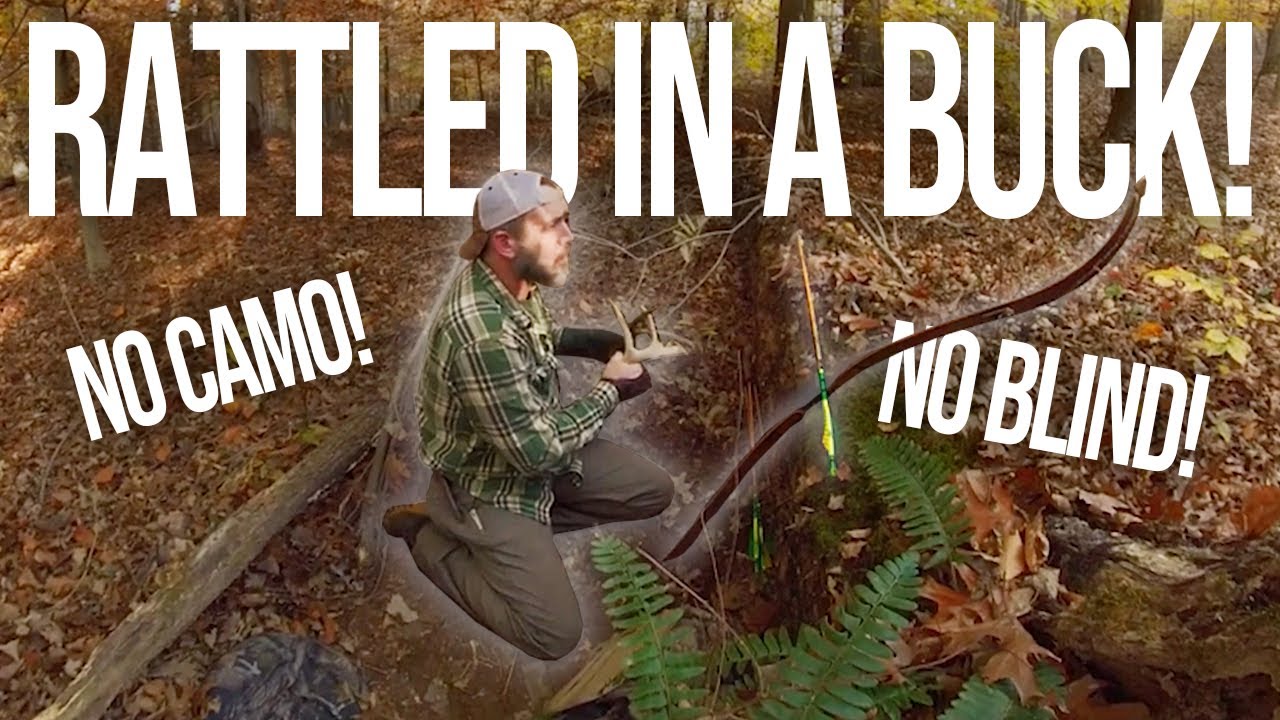 SHOT HUGE BUCK FROM THE GROUND WITH A RECURVE | Traditional Archery ...