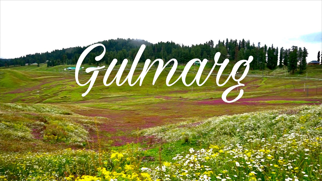 Kashmir vlog Gulmarg The valley of Flowers - YouTube