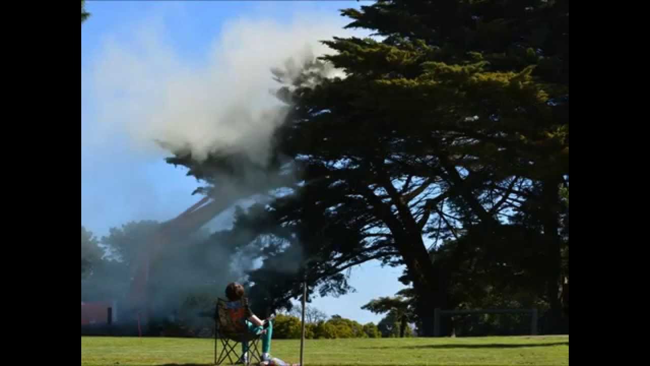 Pollen Cloud - YouTube