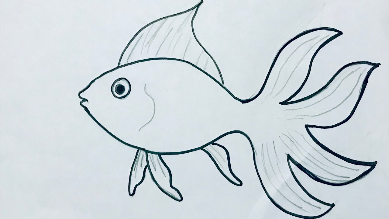 КАК НАРИСОВАТЬ РЫБКУ ЗОЛОТУЮ карандашом / How ty draw FISH | Простые ...