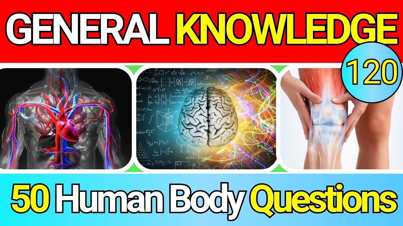 Human Body Quiz 🧠👅👀 Educational General Knowledge Quiz Trivia 120 📚💡 ...