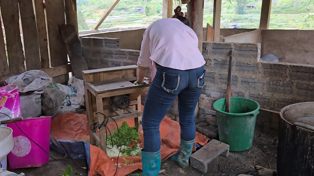 How to feed pigs healthily and naturally to ensure the tastiest meat ...