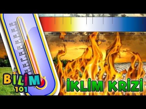 İklim Krizi: İklim Değişikliğine Dair Göstergeler Neler?