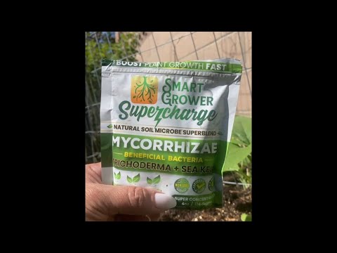 How To Grow Stronger, Healthier, & Better All Plants Organically - YouTube