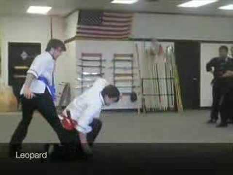 Hung Gar Five Animals Self Defense - YouTube