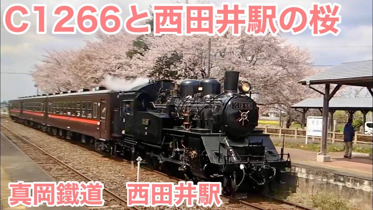 167_【SL C1266 真岡鐡道 西田井駅】C12 type steam locomotive No. 66. C12形蒸気機関車66号機川俣号が今日の仕事を終えて真岡駅の車庫に帰って行き ...