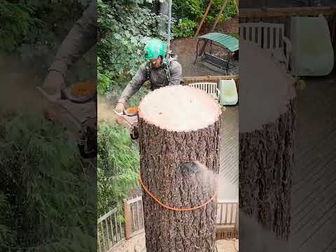 Epic Lumberjack Skills: Chainsaw Mastery! 💪🌲