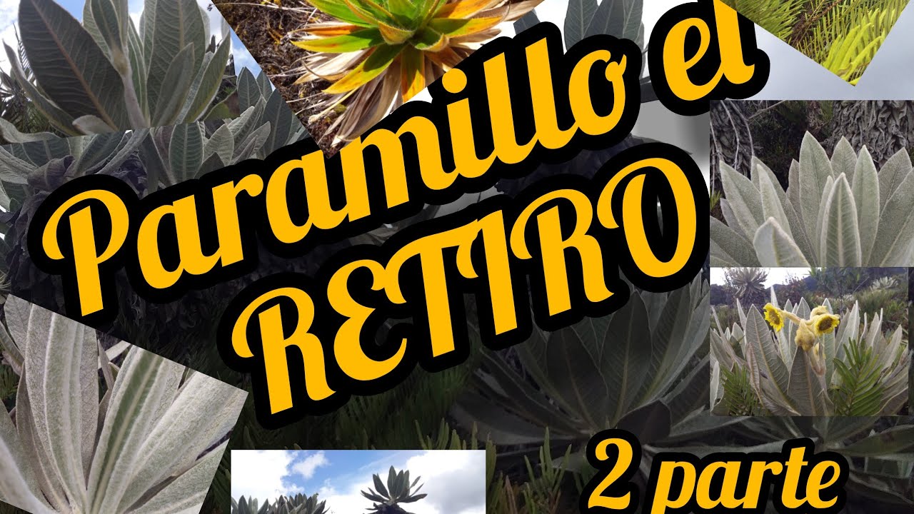 Paramillo el " RETIRO " / 2 Parte. / Santa Rosa Cauca. - YouTube