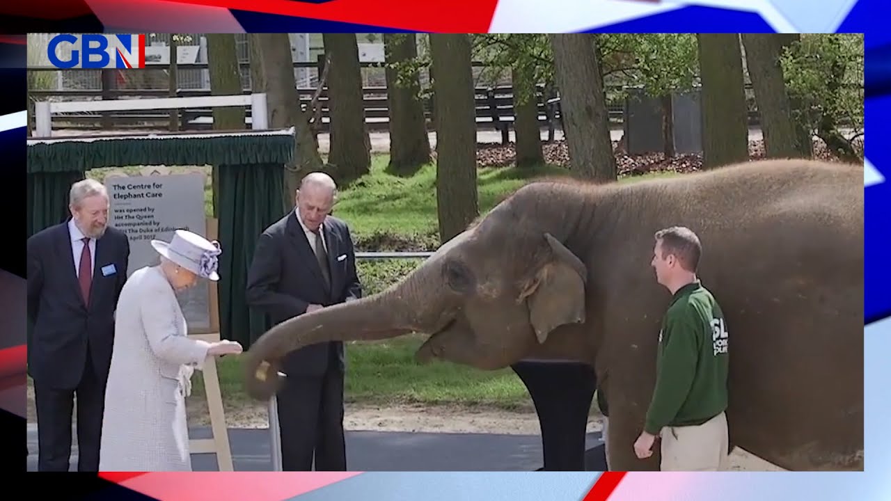The moment the 'fearless' Queen Elizabeth II and Prince Philip were ...