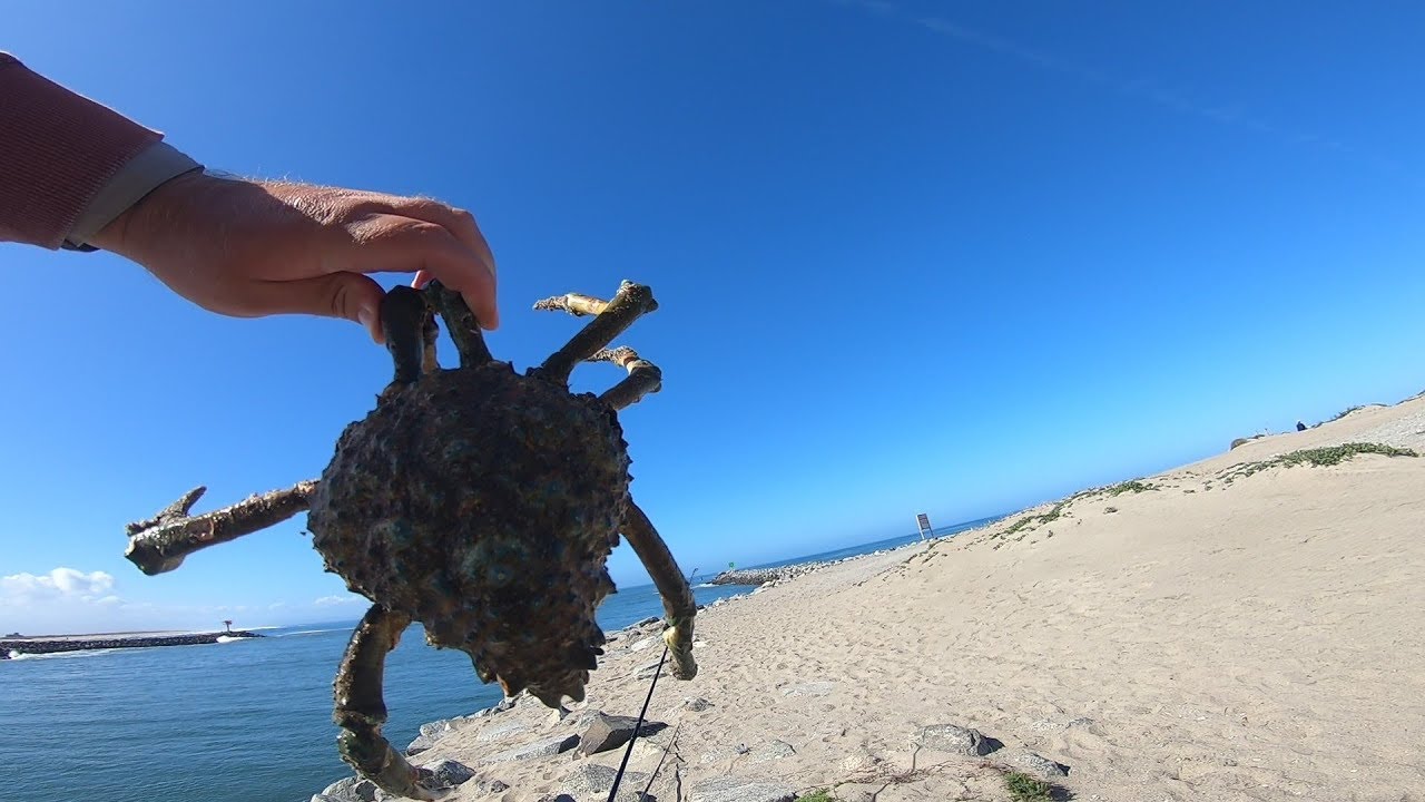 JETTY Crab Snaring & Rock Fishing (Oops, I meant close*) | Moss Landing ...