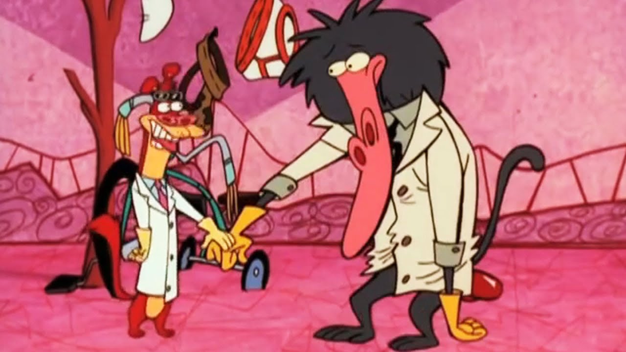 Dream Weasel | I Am Weasel | Cartoon Network Asia - YouTube