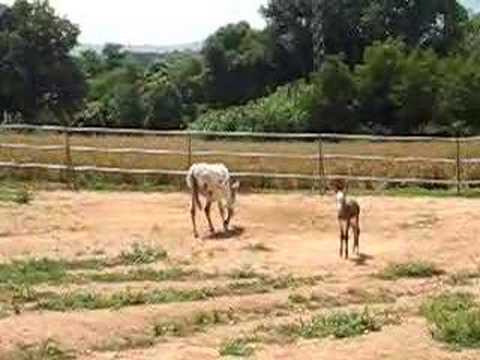 La burrita con 1 dia!!