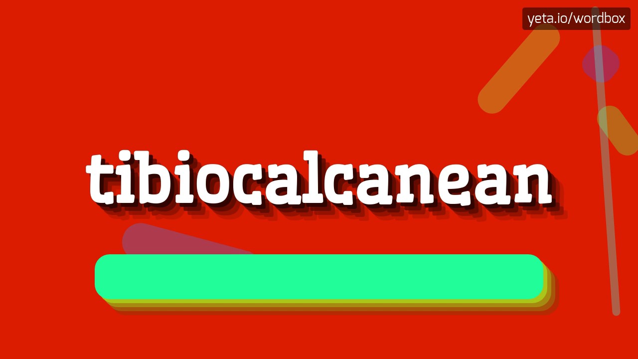 TIBIOCALCANEAN - HOW TO PRONOUNCE IT!? - YouTube