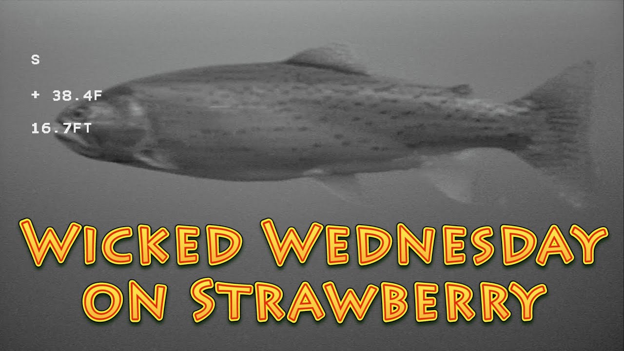 Wicked Wednesday On Strawberry - YouTube