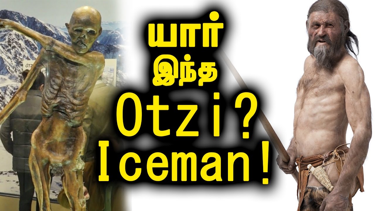 கி .மு .3,300 களில் வாழ்ந்த OTZI இப்போது கிடைத்துள்ளார்! | OTZI A Human ...