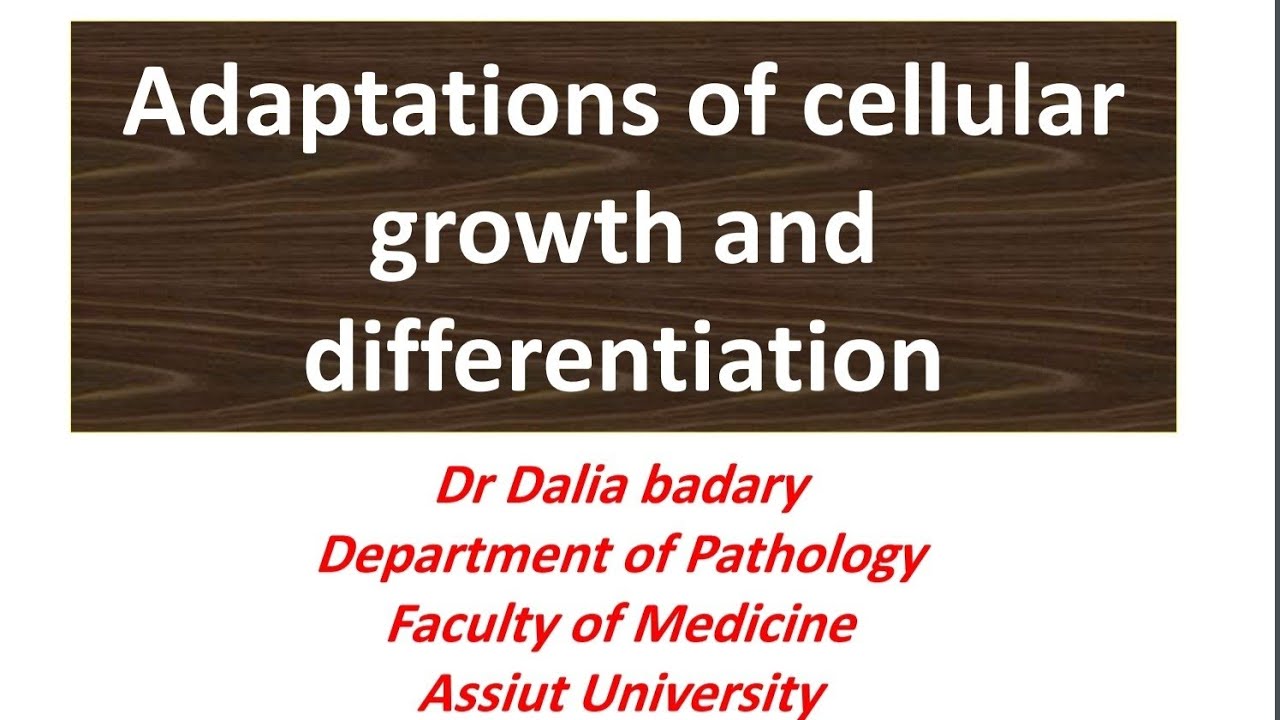 [patho. Assuit] Adaptations of cellular growth and diffrentiation - YouTube