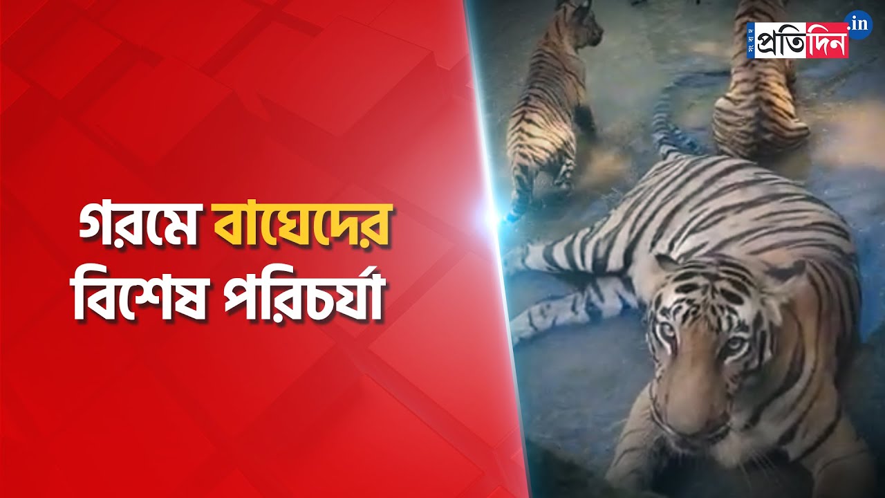 Jharkhali Zoo and Bengal Safari Park arranges special arrangement for ...