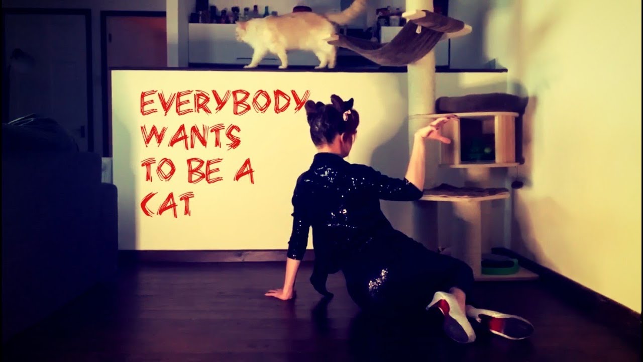 Everybody Wants To Be A Cat - Charles Perry Dance Cover - YouTube