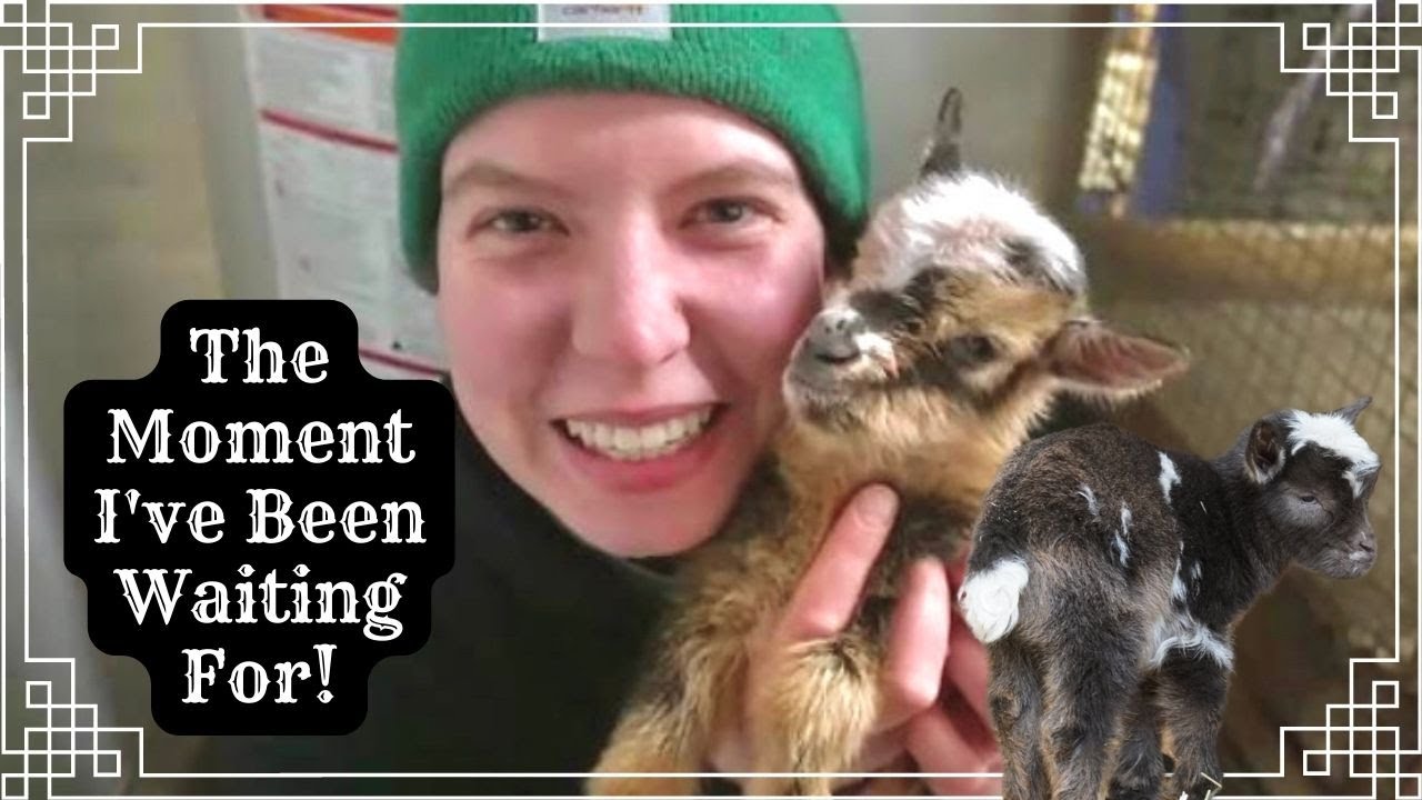 Not 1... Not 2... But 3! - YouTube