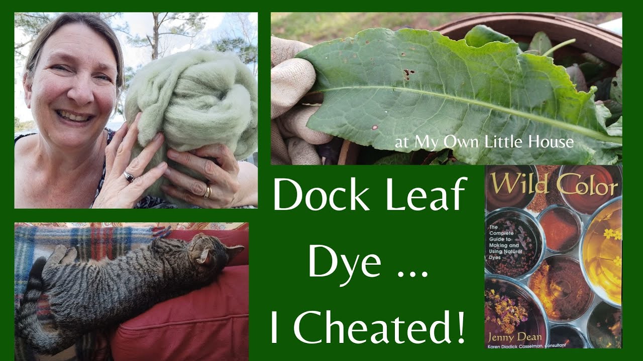 I Cheated on My Dock Leaf Dye! - YouTube