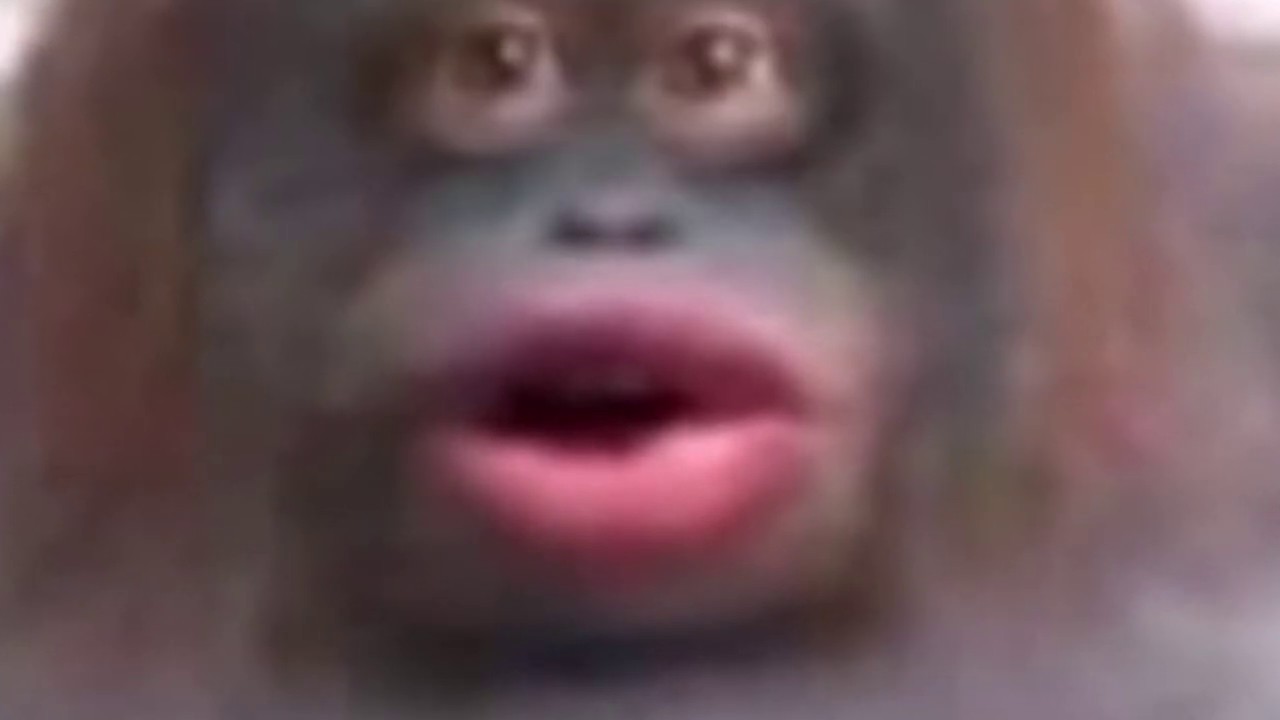 UH OH stinky MEME 1 hour - YouTube