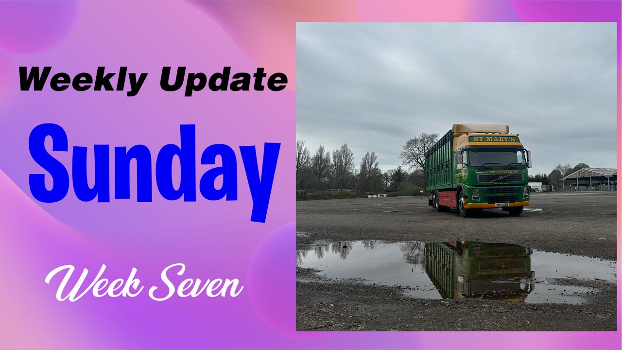 Weekly Update Week 7 - YouTube