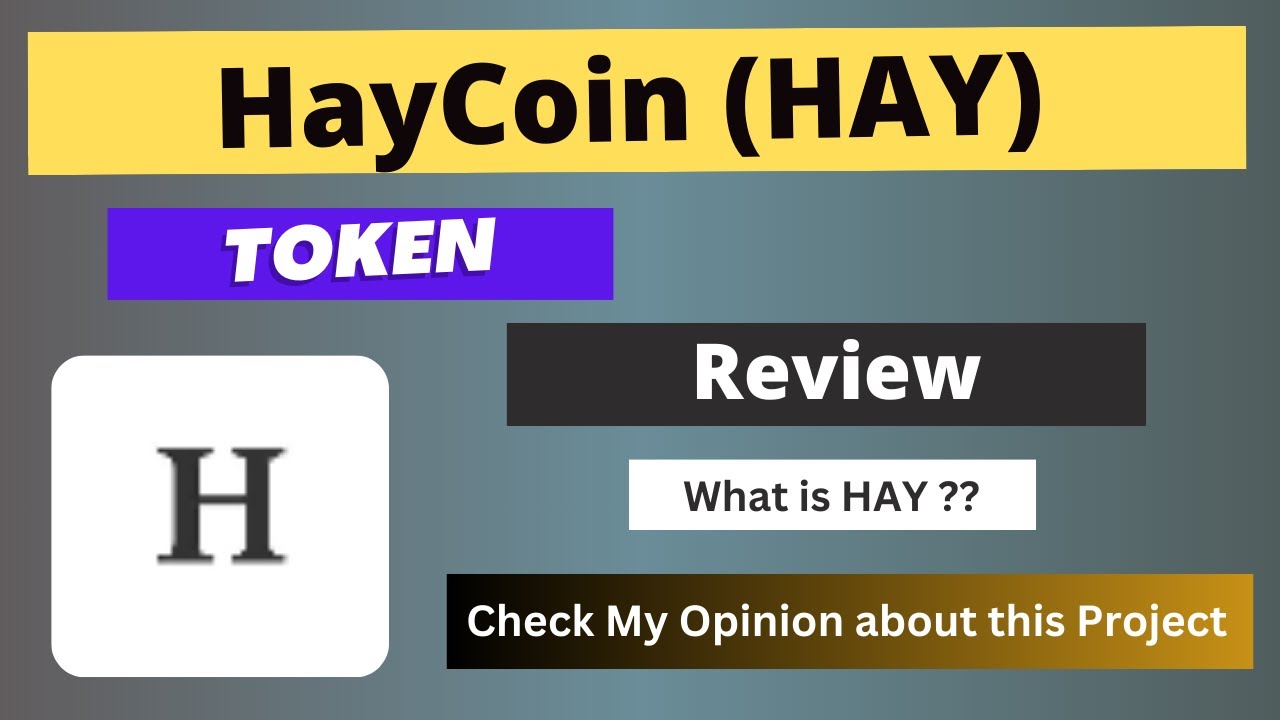 What is HayCoin (HAY) Coin | Review About HAY Token - YouTube