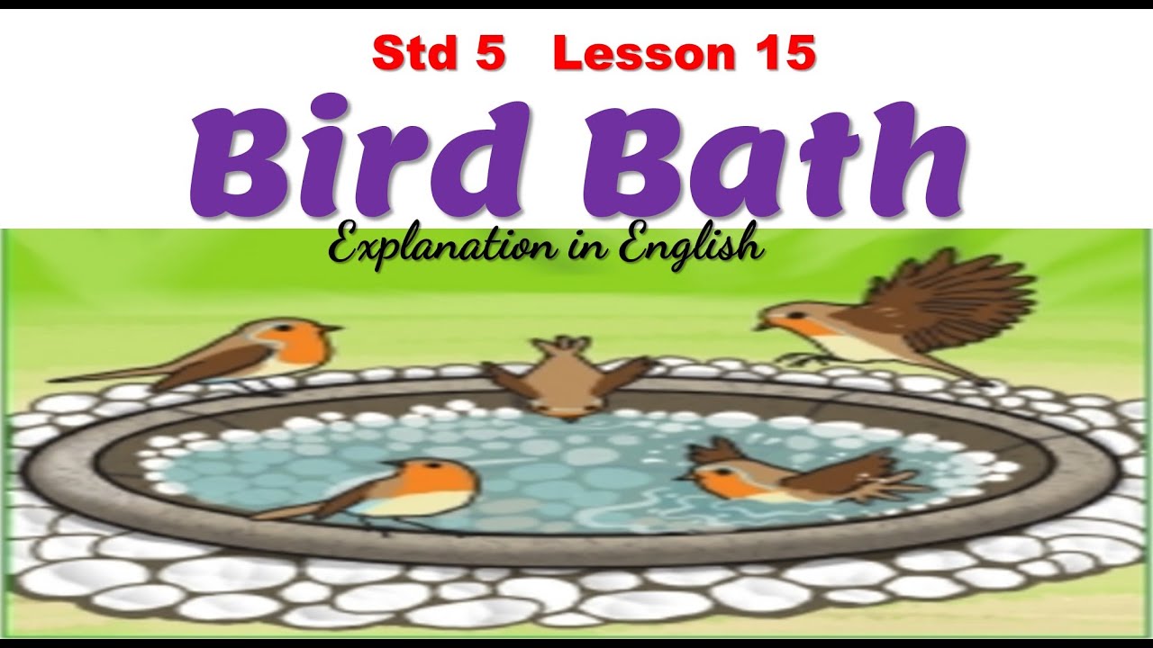 Std 5 English Lesson 15 Bird Bath class 5 Chapter 15 Explanation In std-5-english-lesson-15-bird-bath-class-5-chapter-15-explanation-in