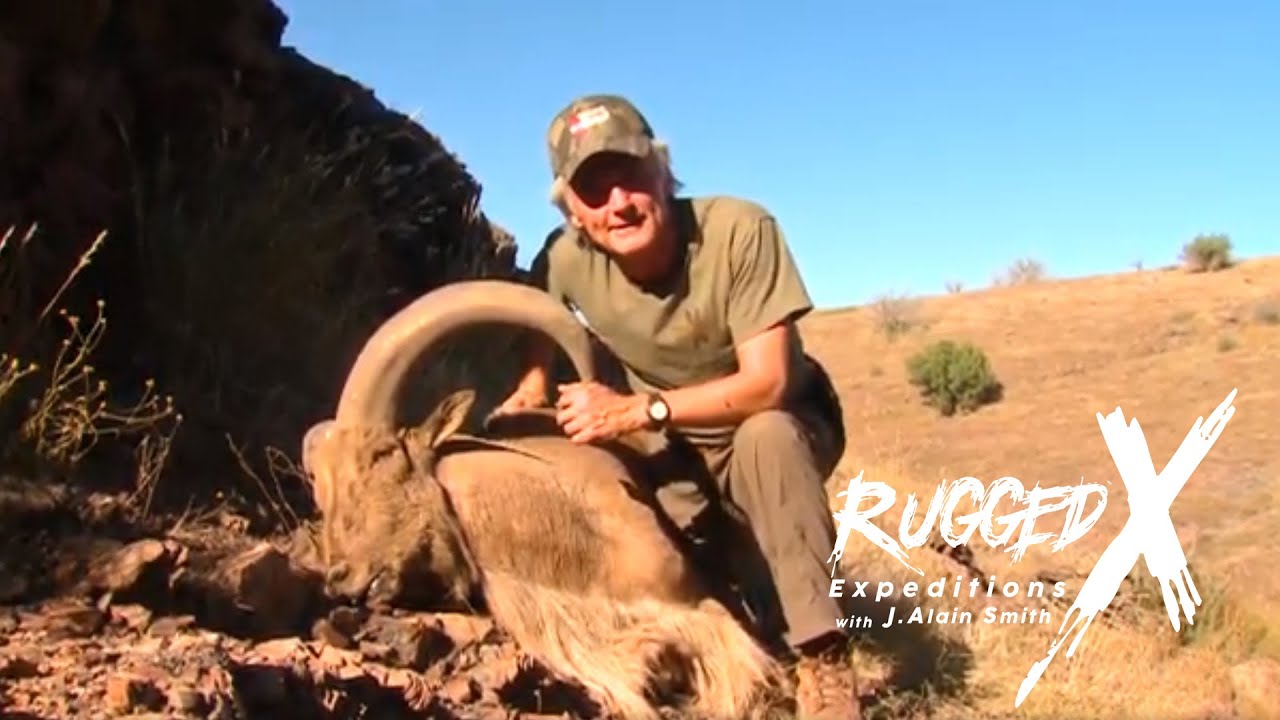 Aoudad Sheep Hunt in Texas - YouTube