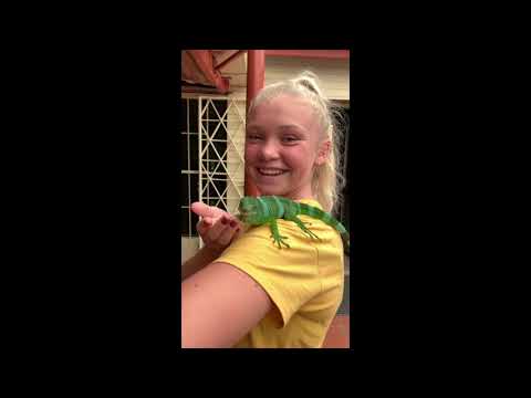 KULA ECO PARK FIJI | Miah Marshall