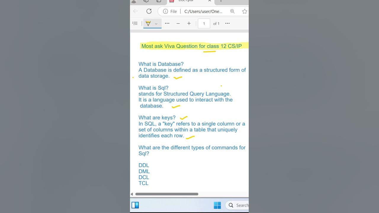 Most Asked Viva Questions for Class 12 CS/IP/IT | Exam Tips - YouTube