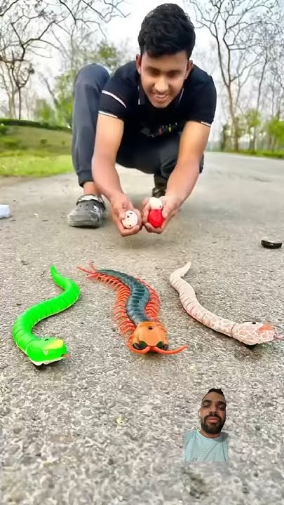 Various colour snakes 🐍 fully remote controlled #rcsnake #snake # ...