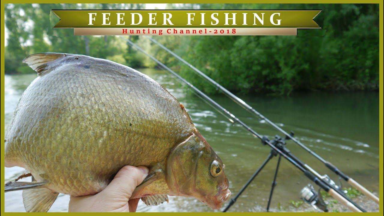 Ribolov na Deverika so Fider sistem,Del 1🎣 #10 - YouTube