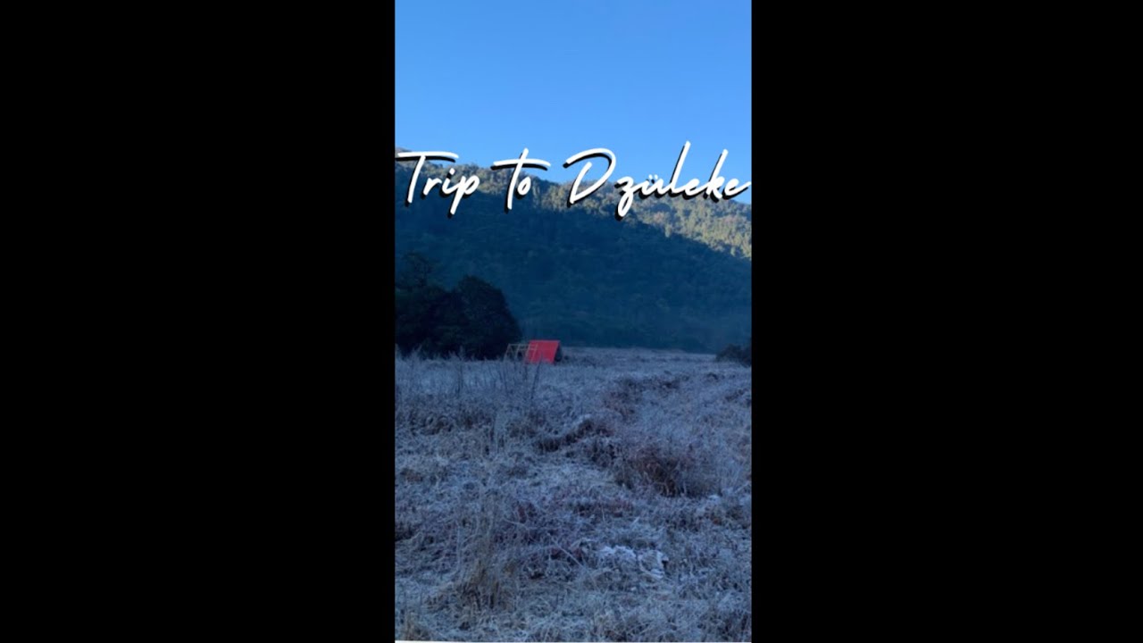 Road trip diaries to Khonoma, Dzüleke & Poilwa sheep farm! - YouTube