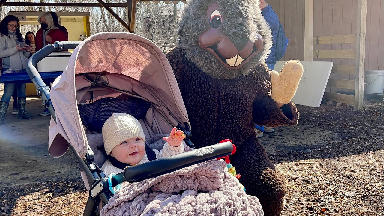 Schaumburg Illinois Sugar Bush Fair - YouTube