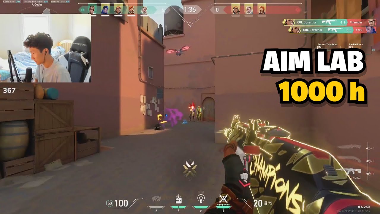 What 1000 HOURS of AIM LAB looks like - YouTube