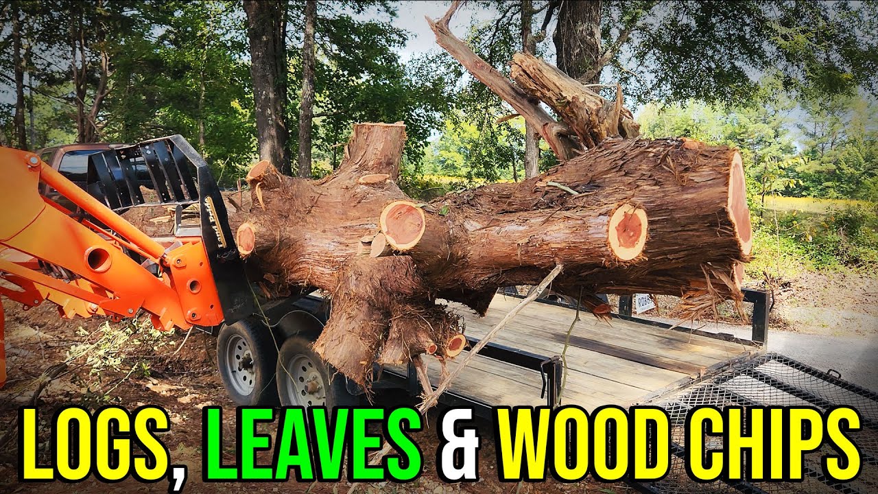 Day 511 - Busy Homestead Days Milling Pine, Cedar Log Pickup & Chipping ...