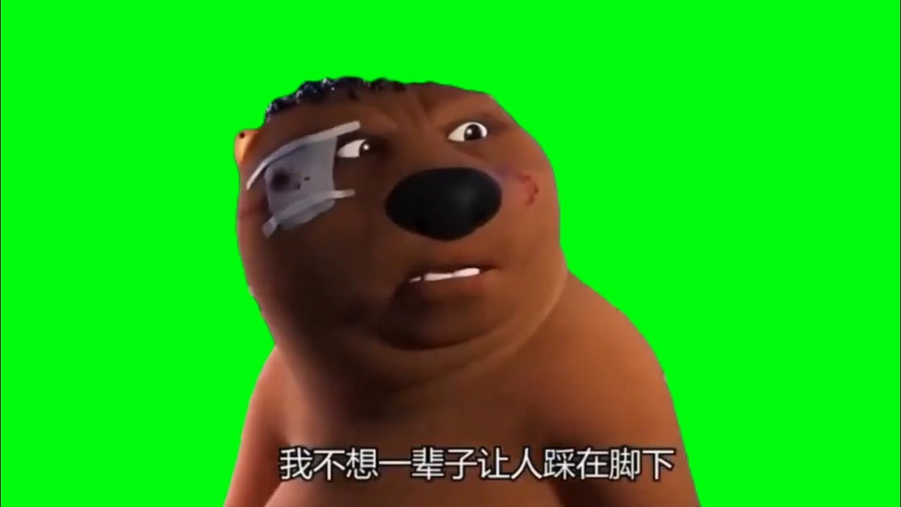 Chinese Beaver Sad Green Screen - YouTube