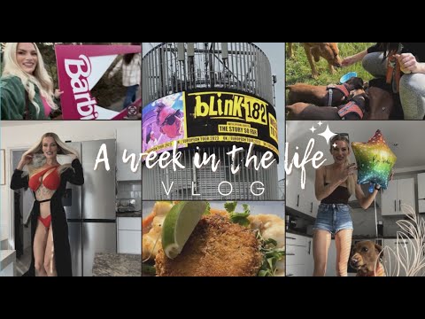 A WEEK IN THE LIFE VLOG | full WEEK of work and fun! - YouTube