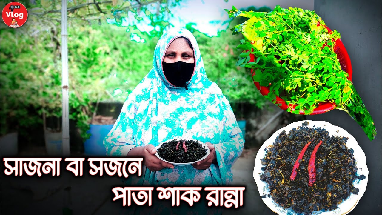 সজনে পাতা বা সাজনা পাতা শাক রান্না || Sajne or sajna leafy vegetables ...