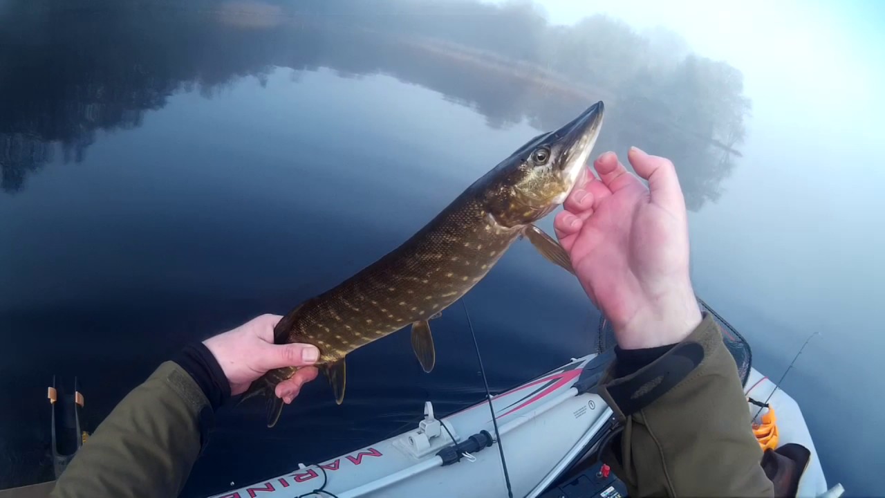 Fishing Loch Ard - March Mist - YouTube
