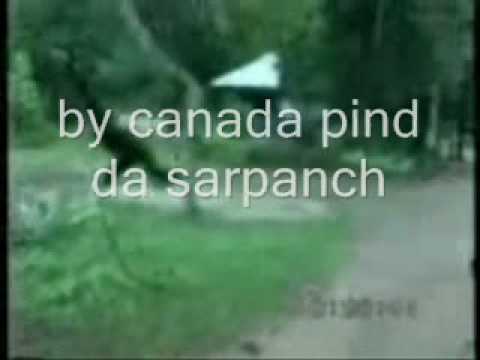 funny punjabi monkey swearing - YouTube