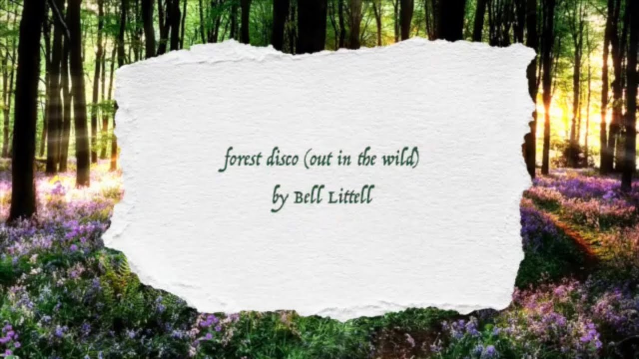 Forest Disco (Lyric Video) - Bell Littell - YouTube