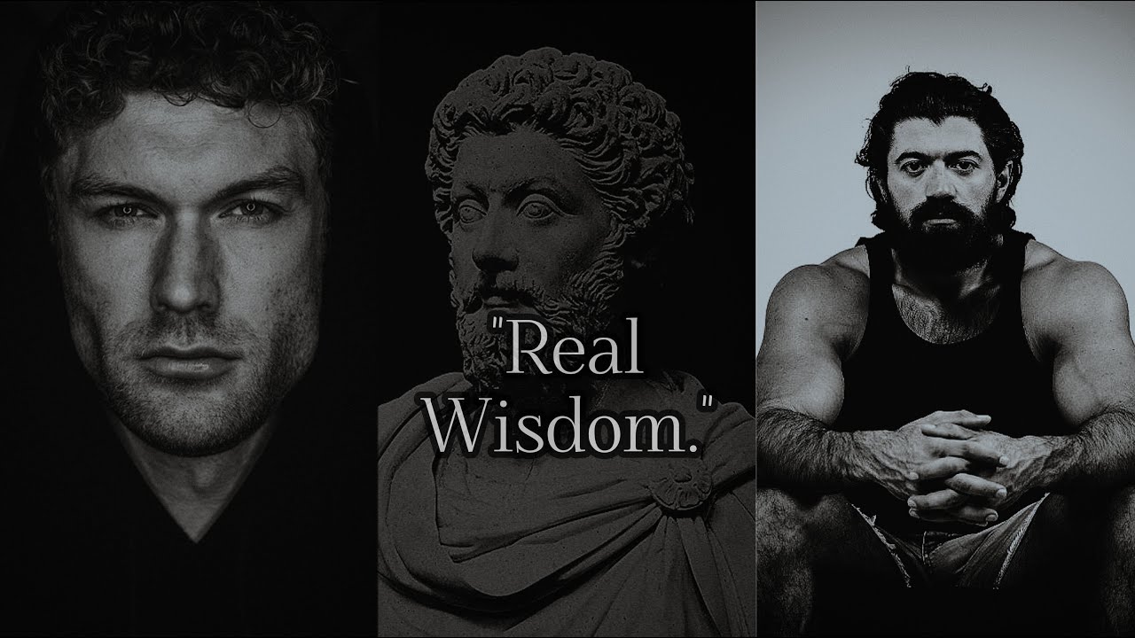 To improve your life | Modern Wisdom - YouTube