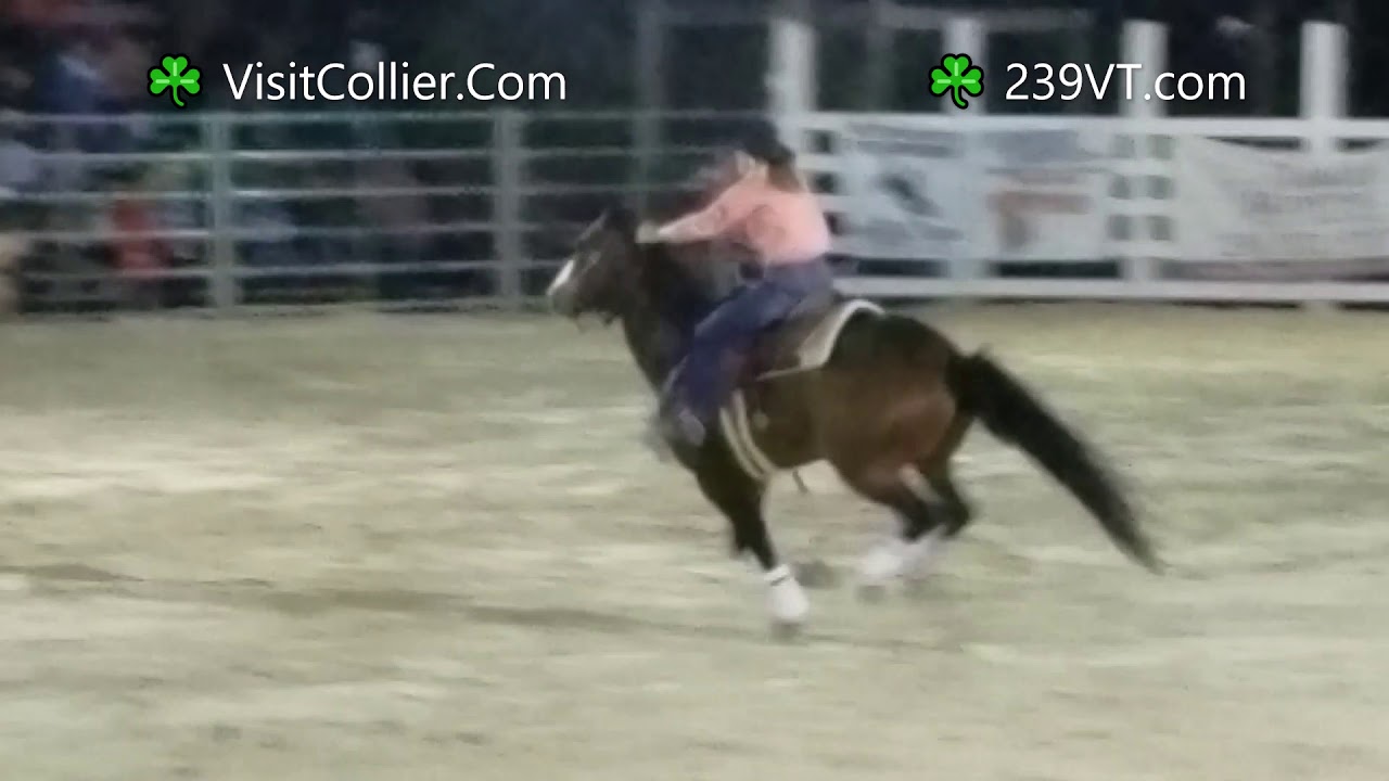 Fort Myers Pro Rodeo Lee County Posse Arena Southwest FL~ VisitCollier ...